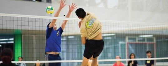 Intramural Sport Program: Harper College